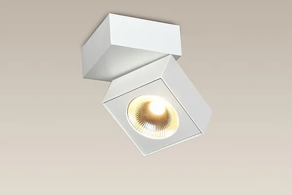 Bodové LED svítidlo MAXlight ARTU C0106