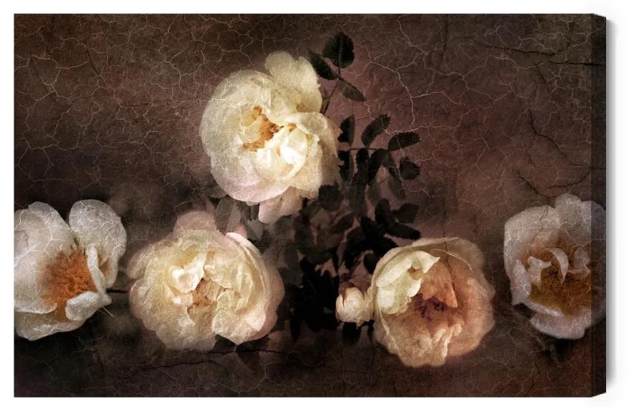 Obraz Vintage Divoké Růže Nedostatek Nedostatek Přírodní plátno 40x30