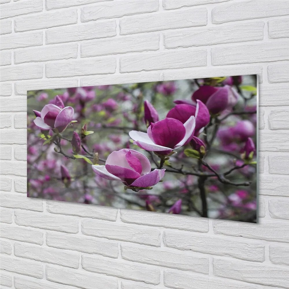 Obraz na skle fialové magnolie 125x50 cm