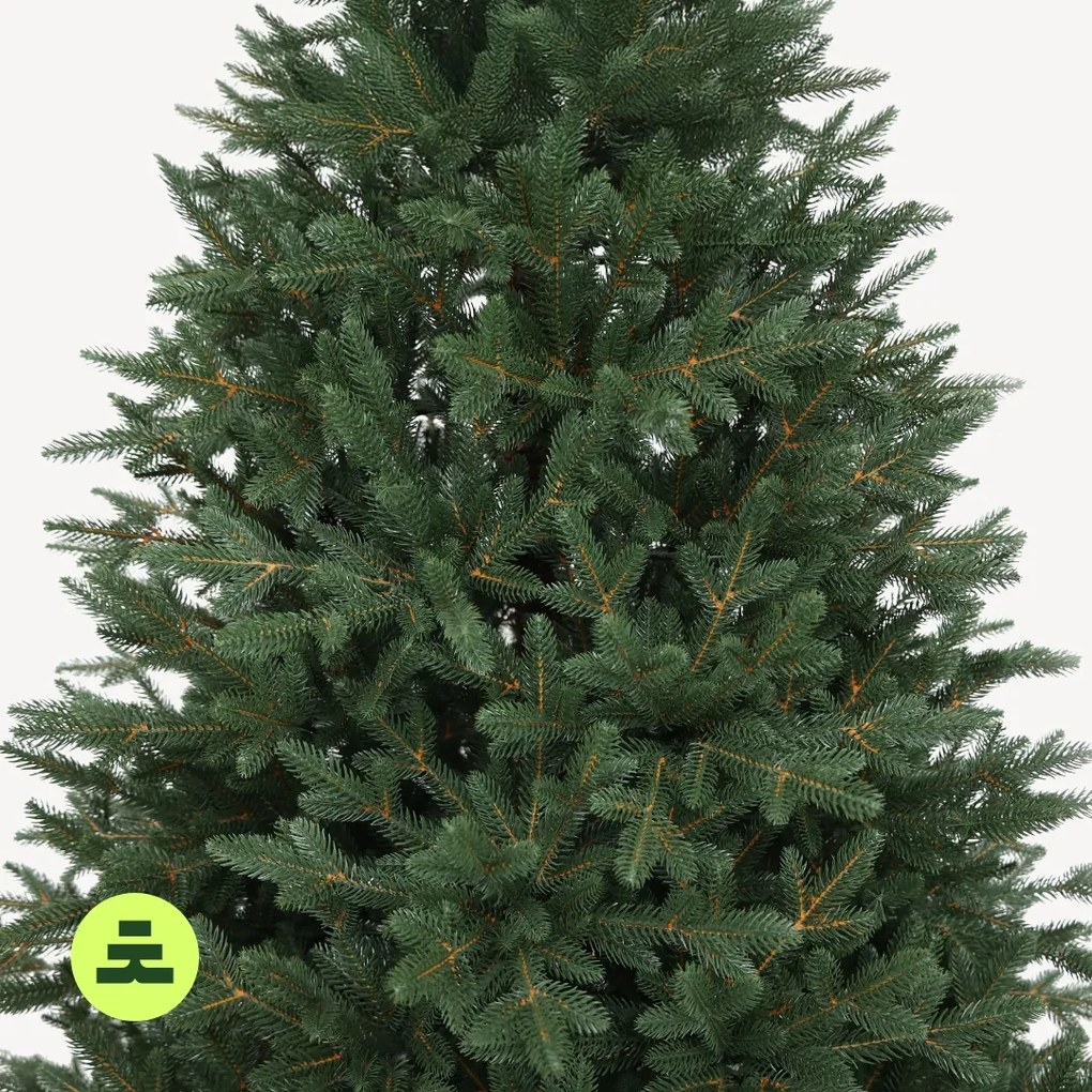 Smrk Kanadský 100% 150 cm