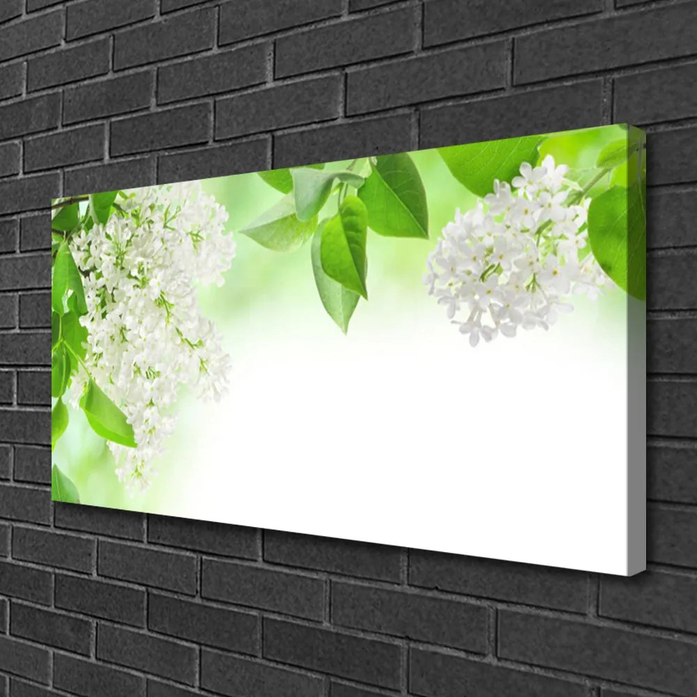 Obraz na plátně Plátky Rostlina Příroda 140x70 cm