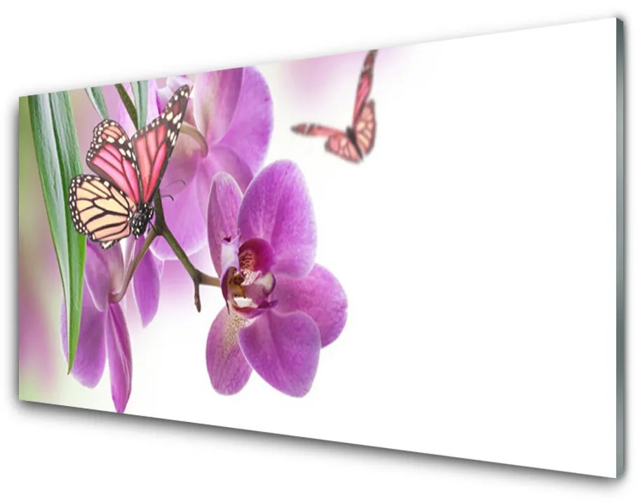 Obraz na skle Motýli Květiny Příroda 140x70 cm