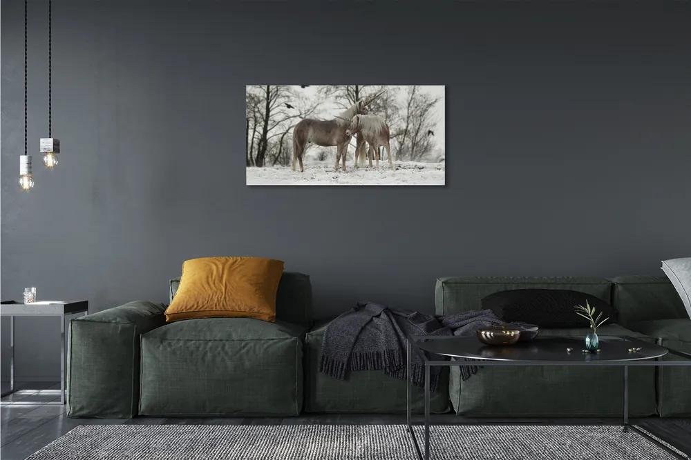 Obrazy na plátně Zimní lesní jednorožci 100x50 cm