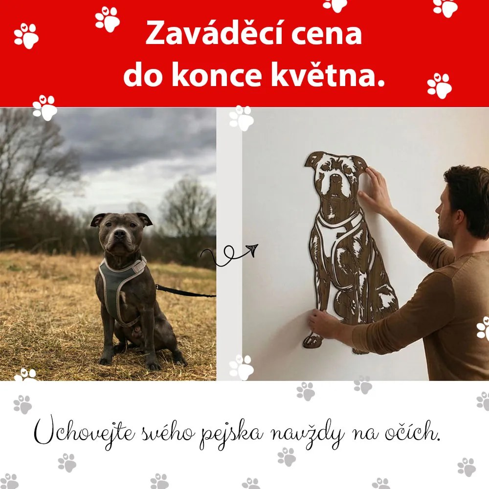 dřevo života Dřevěná dekorace pejska z vaší fotografie Zvolte barvu dekoru: Dub Sonoma, Delší strana: 60