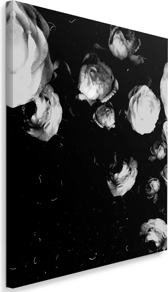 Obraz na plátně, Pivoňky b&w 40x60