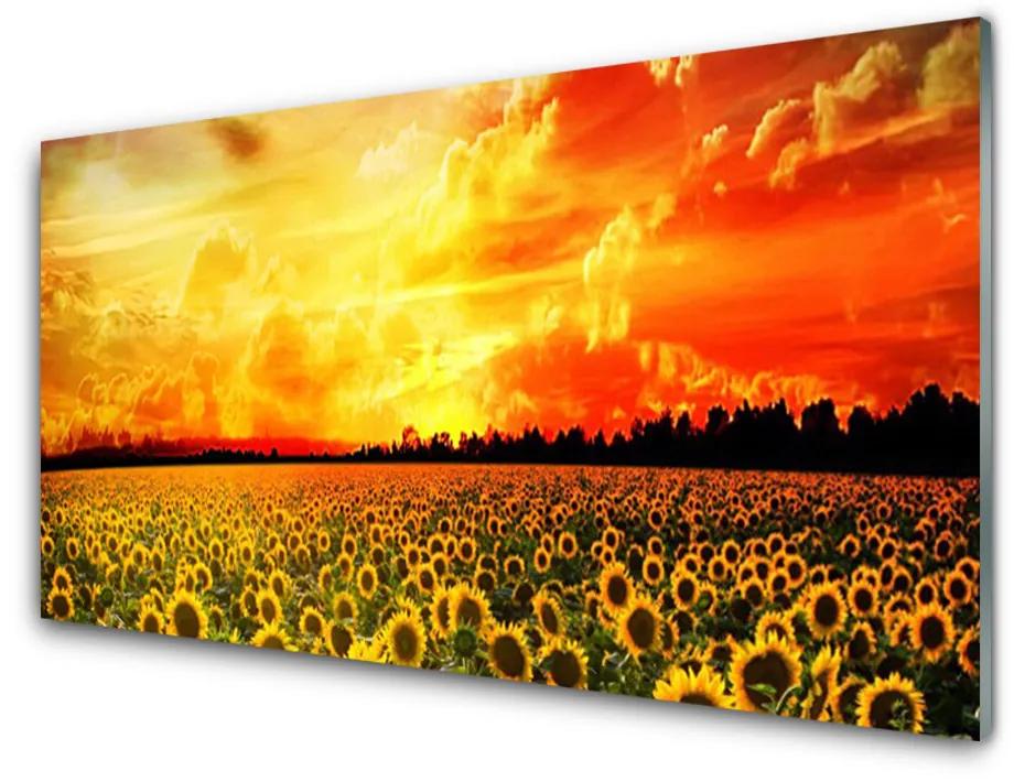 Obraz na skle Louka Slunečnice Květiny 120x60 cm