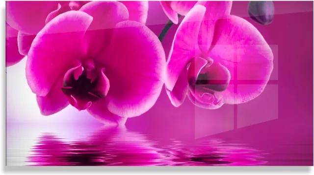 Skleněný obraz 130x70 - Růžové květiny (EXTRA - s vyvrtanými dírami) - Sablo.cz