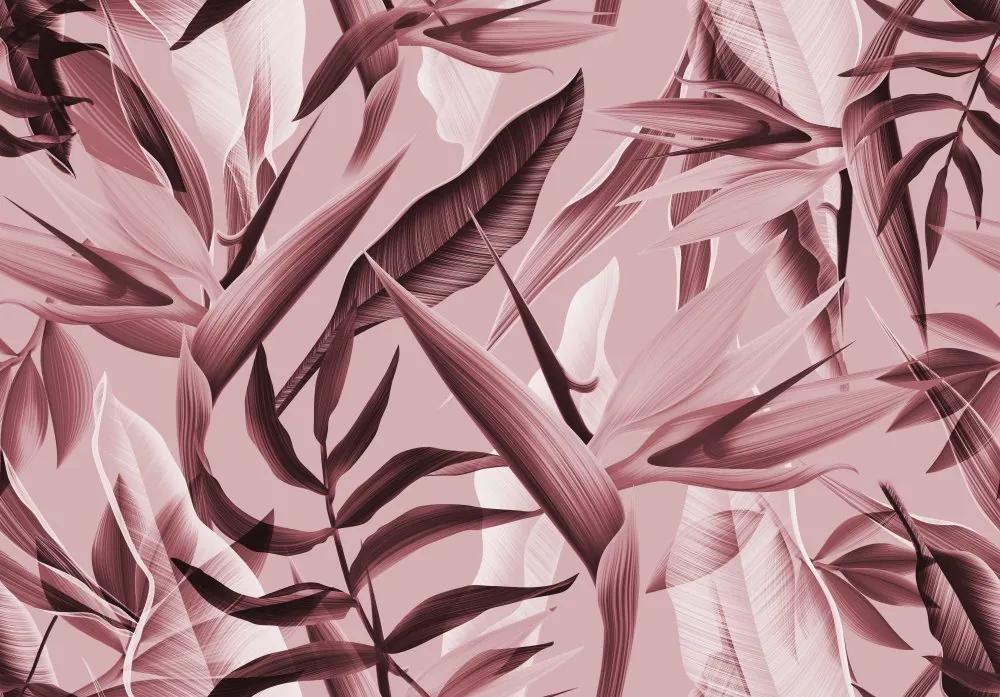 Fototapeta Tropicalia Pink Omyvatelný vlies 270x180