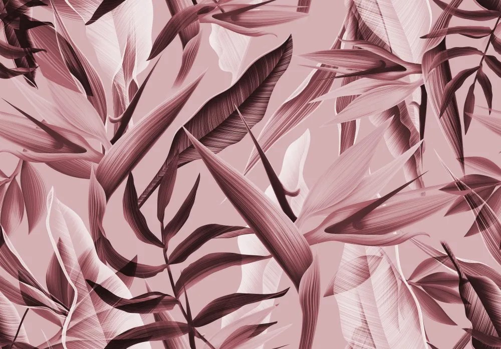 Fototapeta Tropicalia Pink Omyvatelný vlies 450x300