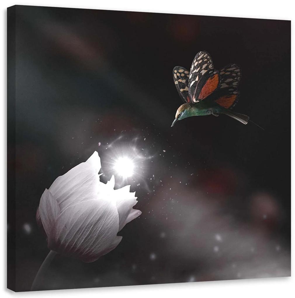 Gario Obraz na plátně Kolibřík a kouzelná květina - Zehem Chong Rozměry: 30 x 30 cm