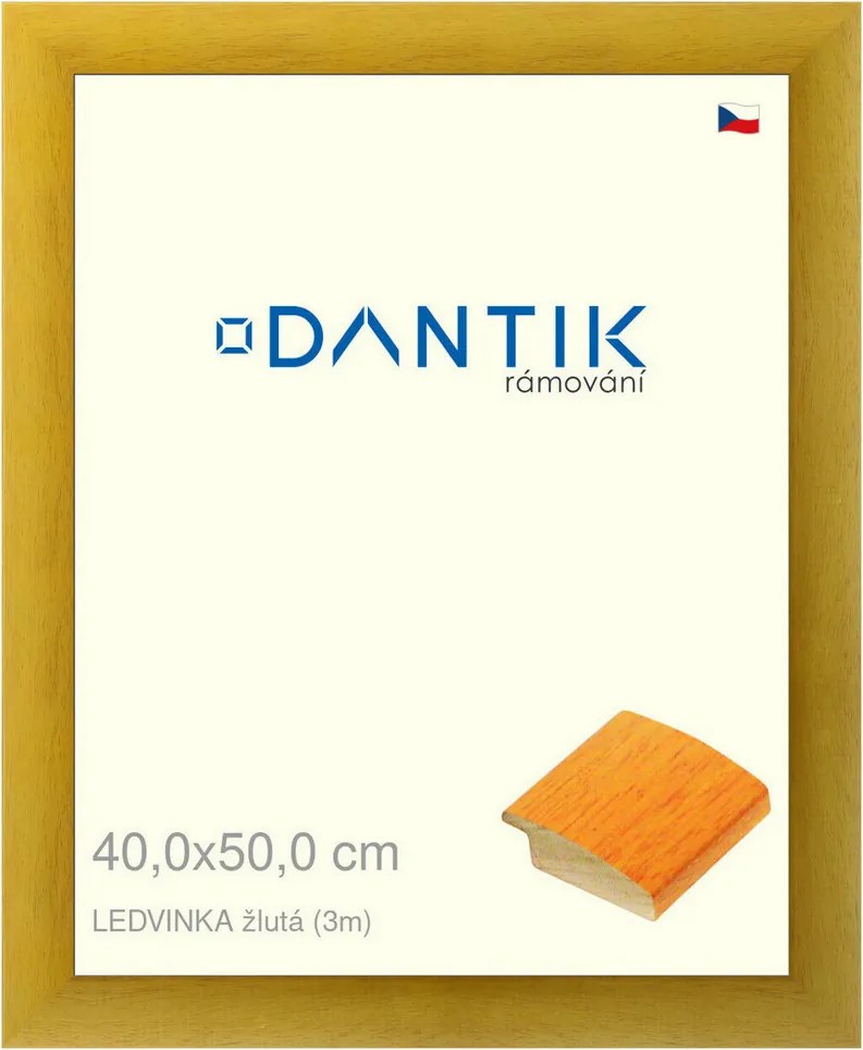 DANTIK rámeček 40x50 | LEDVINKA žlutá (Plexi Čiré)
