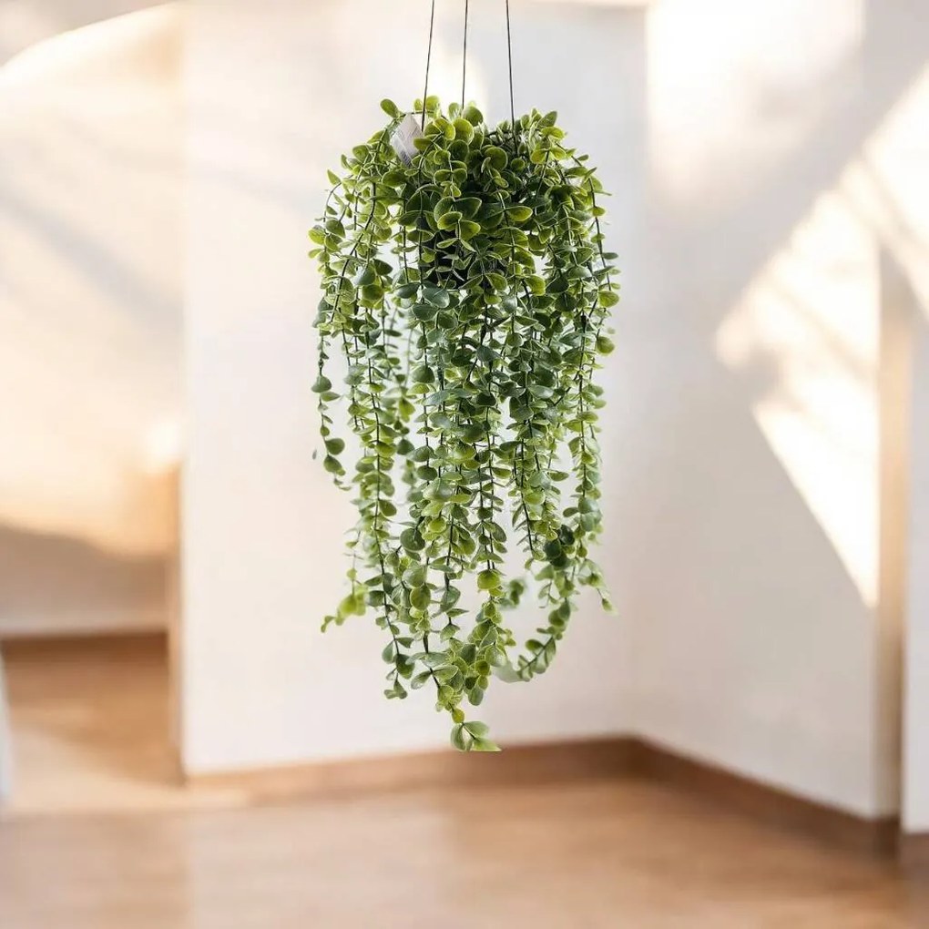 Umělá rostlina SENECIO, závěsná, 60 cm