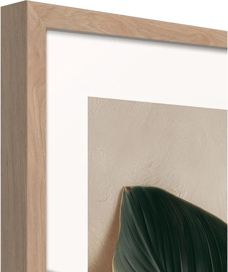 Tištěný obraz s rámem 50x70 cm Strelizia Leaf – Styler