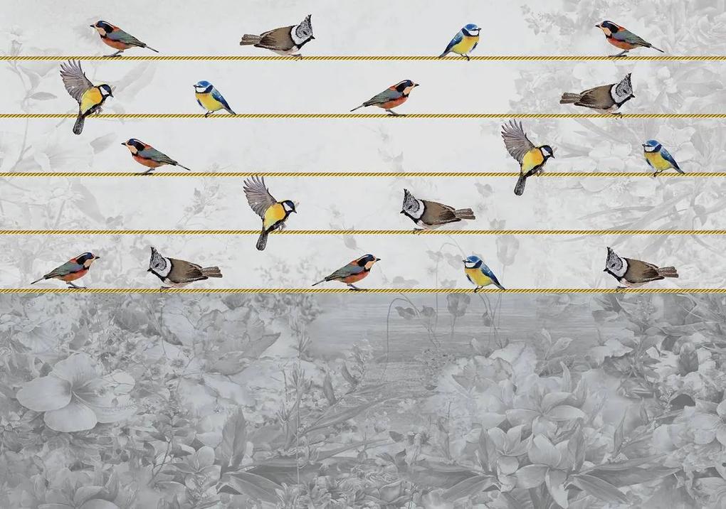 Fototapeta - Ptáci na zlatém provázku (254x184 cm)