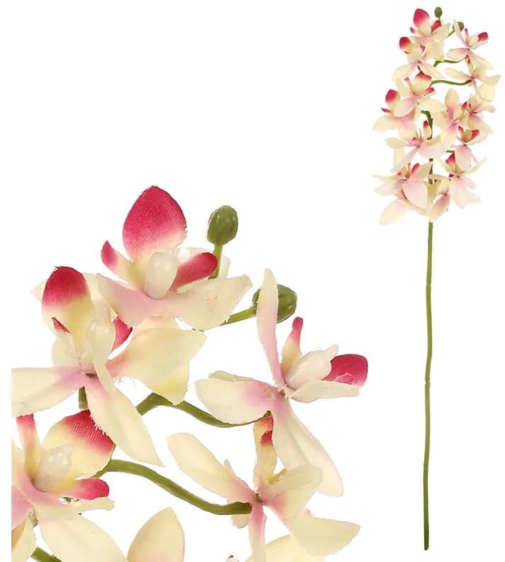 Orchidea drobnokvětá, žluto-růžová barva UKK313-PINK