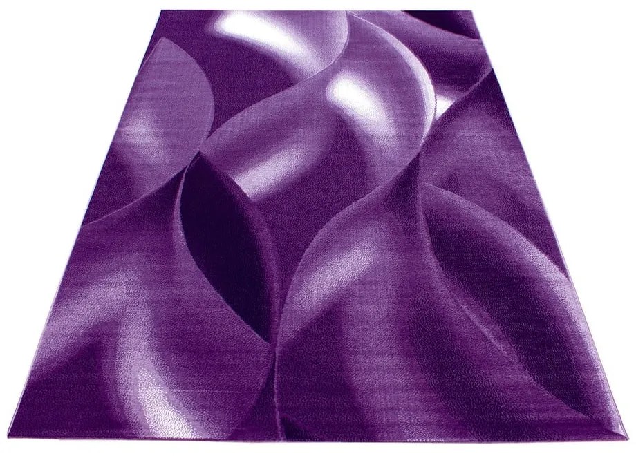 Fialový koberec 200x290 cm Plus – Ayyildiz Carpets