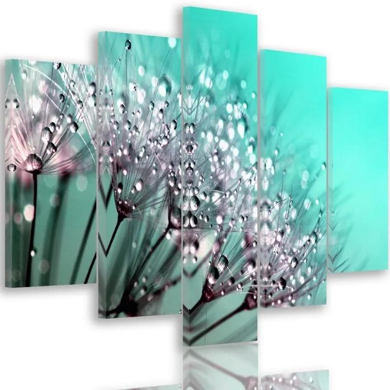 CARO Obraz na plátně - Dandelion And Dew 150x100 cm