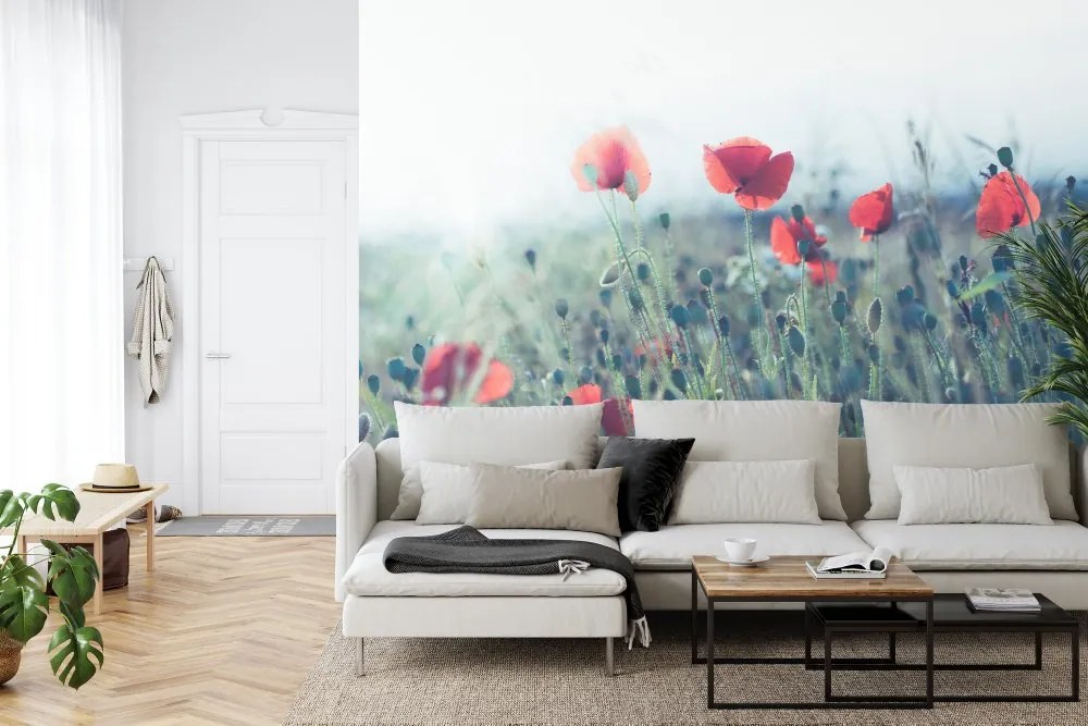 Fototapeta Poppy Field Strukturální vinyl 405x270