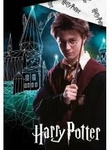 Levné-povlečení.cz Bavlně povlečení Harry Potter Kouzelné Bradavice 140 x 200 + 70 x 90 cm Bavlna