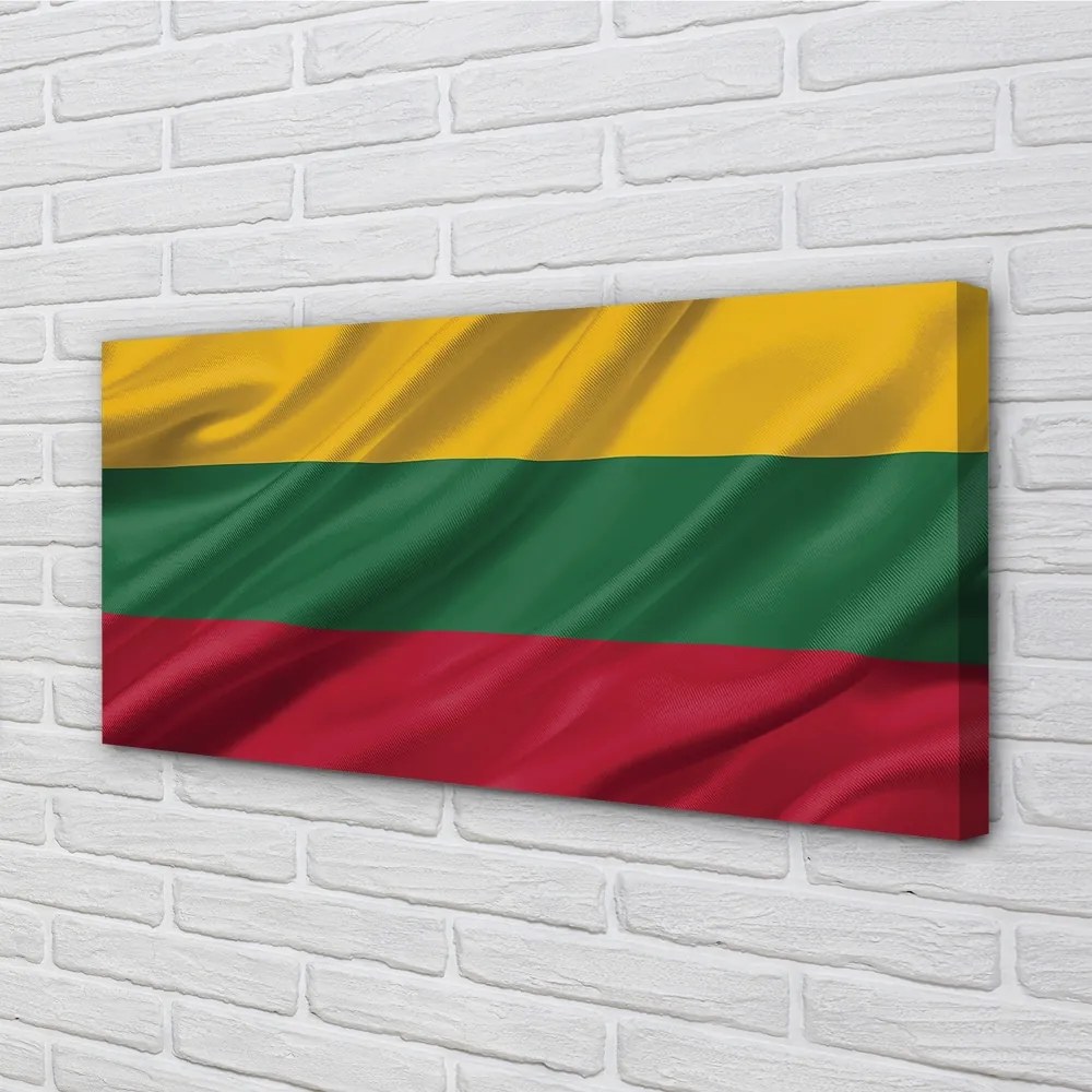 Obrazy na plátně vlajka Litvy 100x50 cm