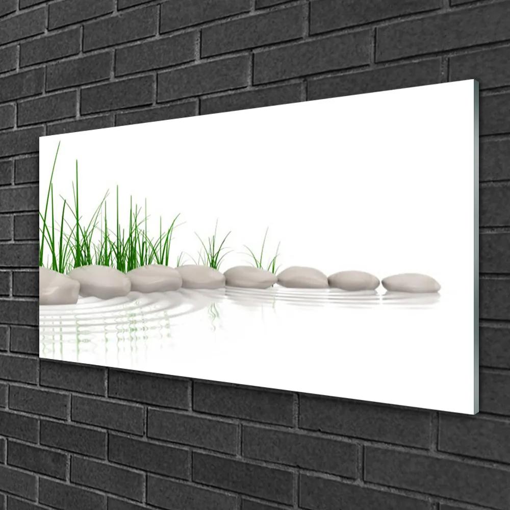 Obraz na skle Kameny Tráva Umění 120x60 cm