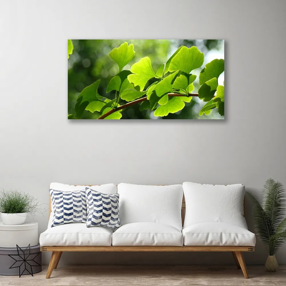 Obraz na plátně Větve Listy Příroda Strom 120x60 cm