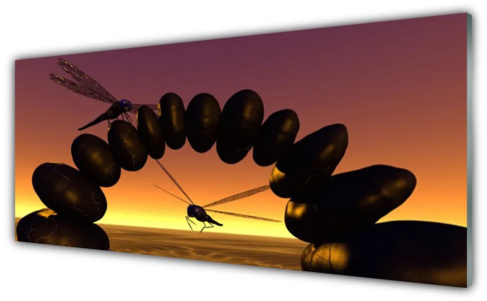 akrylový obraz Vážky Kameny Umění 125x50 cm