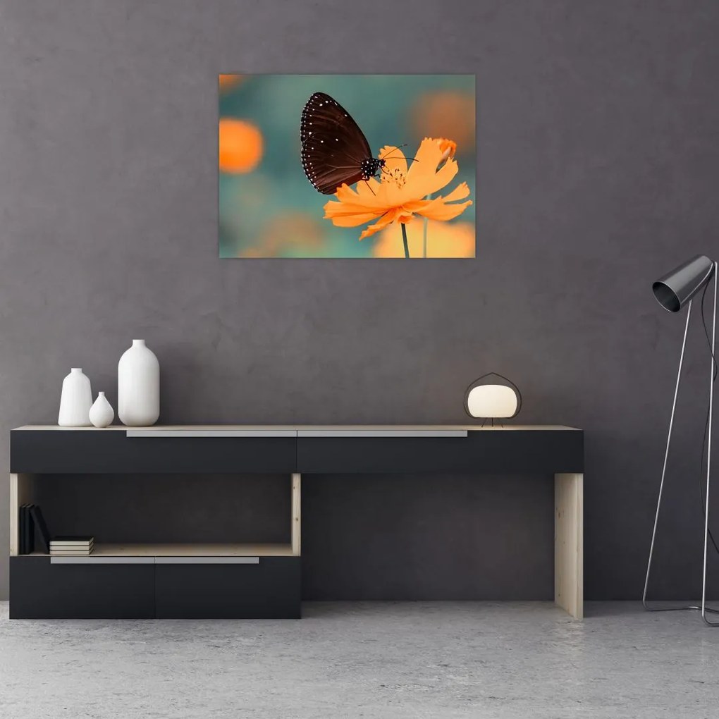 Skleněný obraz - motýl na oranžové květině (70x50 cm)