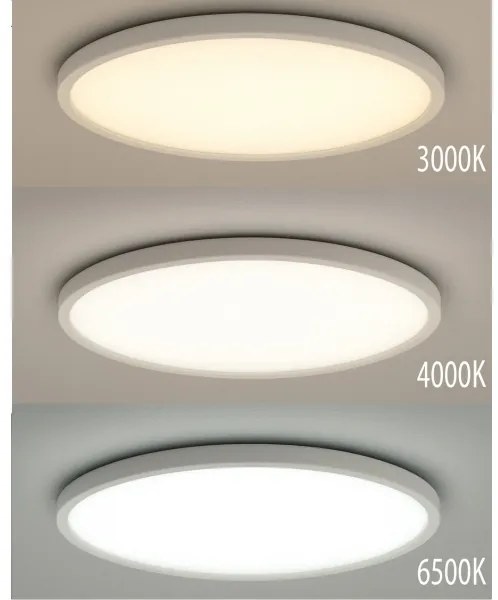 LED Stropní svítidlo LED/24W/230V 3000/4000/6500K pr. 30 cm bílá