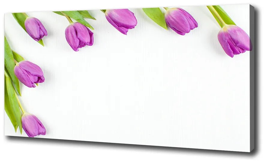Wallmuralia Moderní fotoobraz canvas na rámu Fialové tulipány 100x50 cm