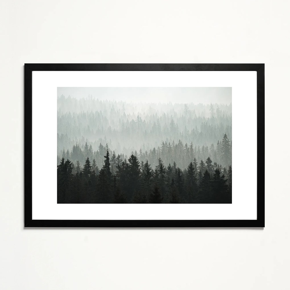 Kristýna Mládková | Šumavské lesy Rám: Černý, Velikost: 40 x 60 cm