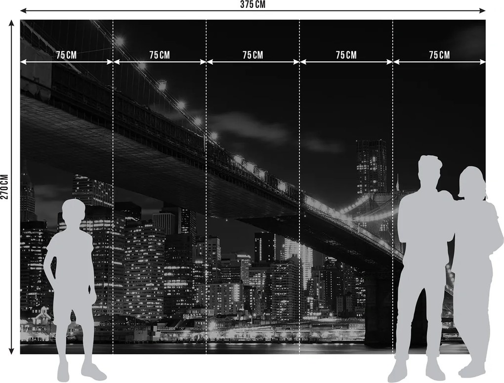 Fototapeta na míru Brooklynský Most v Noci | Vliesová fototapeta na zed' | DFTNS2469