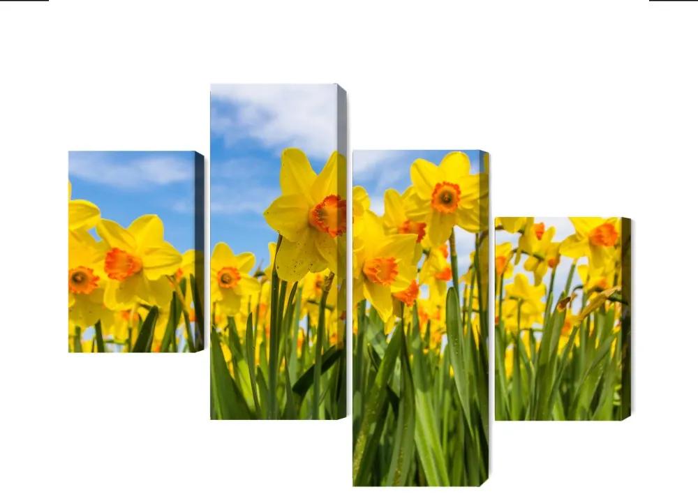 Vícedílný obraz 3D Pole Narcisů Nedostatek Nedostatek Plátno Canvas 240x150