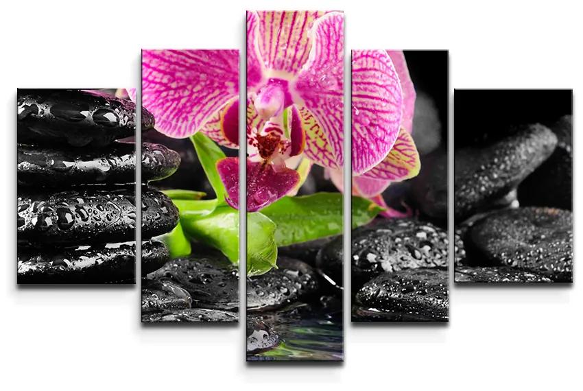 Sablio Obraz - 5-dílný Orchidej na kamenech - 125x90 cm