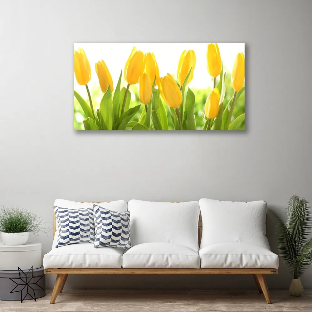 Obraz na plátně Tulipány Květiny Rostlina 100x50 cm