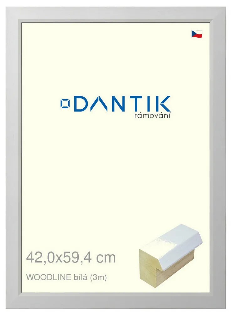DANTIK rámeček 42x59,4 | WOODLINE bílá (Plexi Čiré)