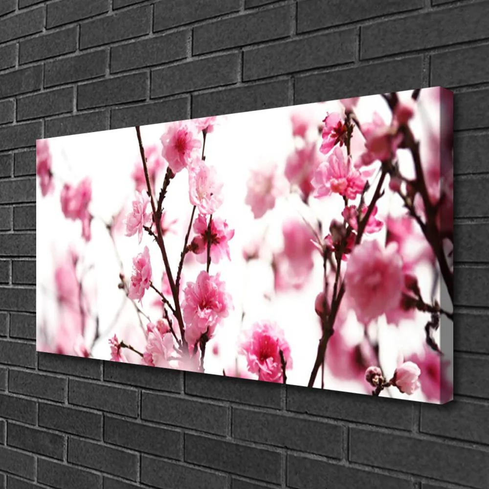 Obraz na plátně Větve Květiny Rostlina 120x60 cm