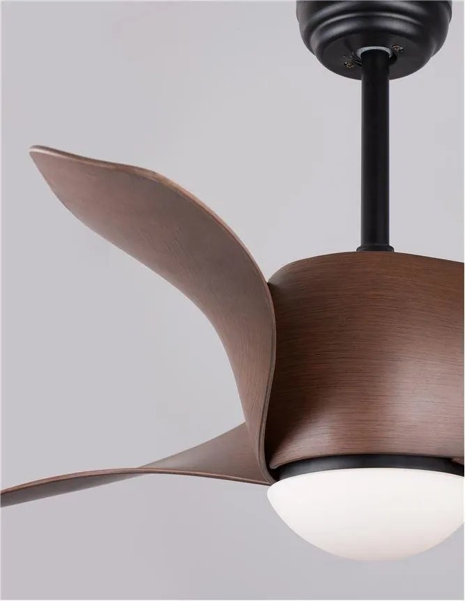 NV 5267611 Stropní ventilátor se světlem BREEZE matná černá / sklo 3ABS dřevěné listy LED 18W 3000K - NOVA LUCE
