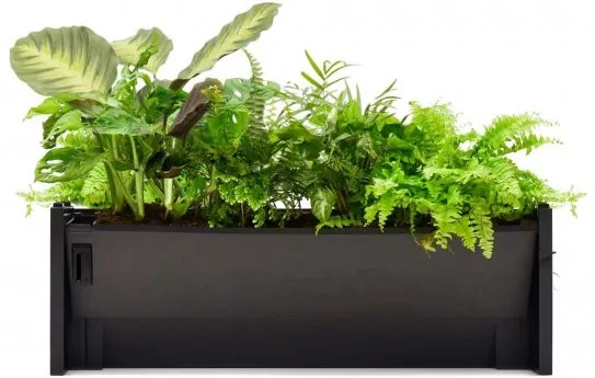 LIKO-S a.s. Plantbox 1 ks - truhlík pro vertikální pěstování