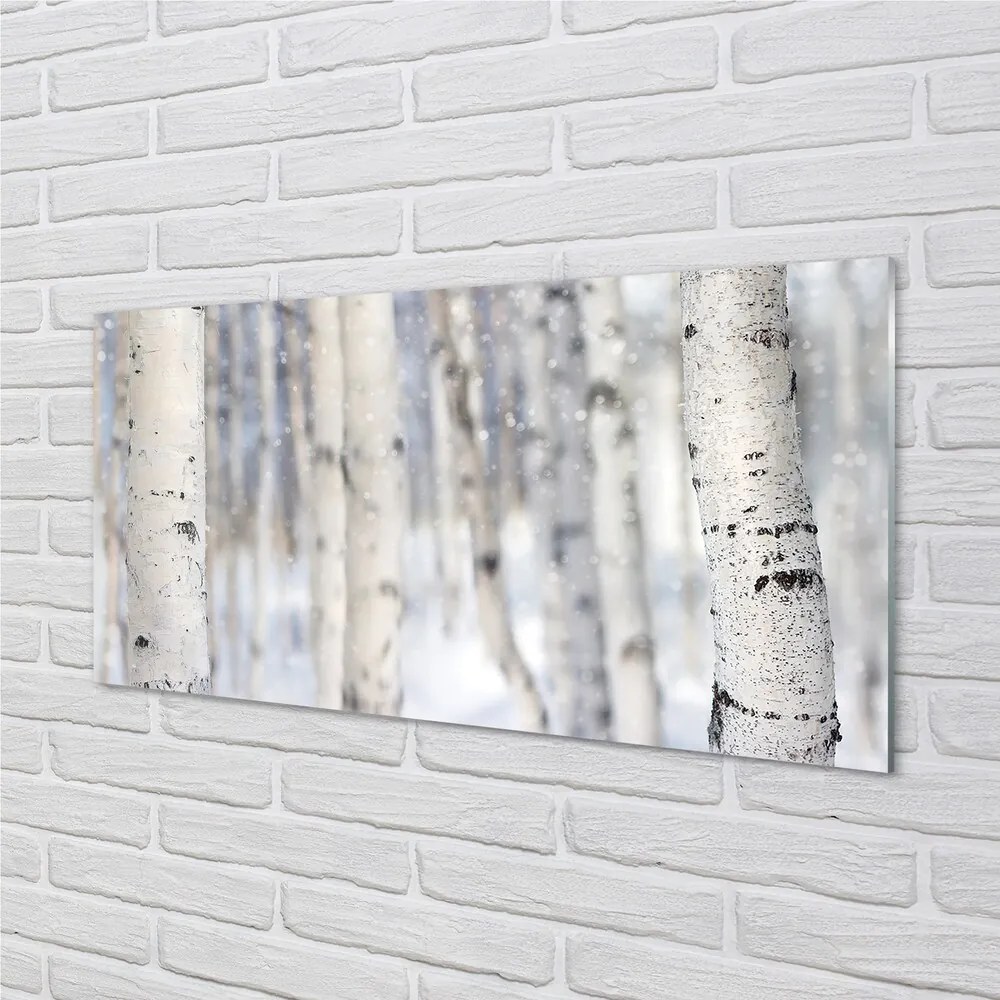 Obraz na skle Stromy v zimě sníh 100x50 cm