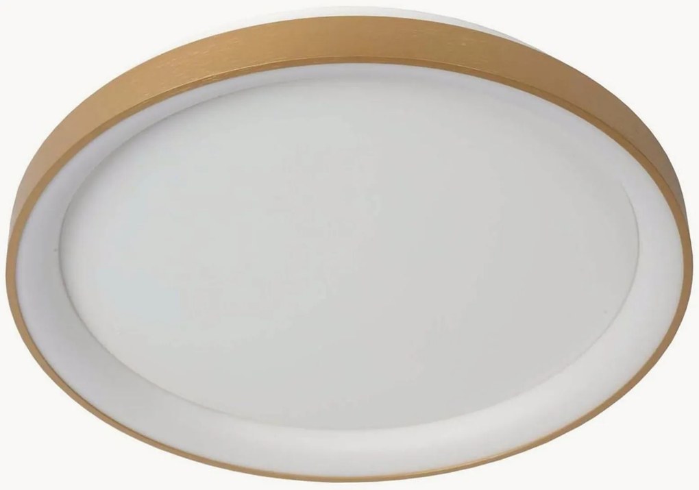 Stmívatelné stropní LED svítidlo Vidal