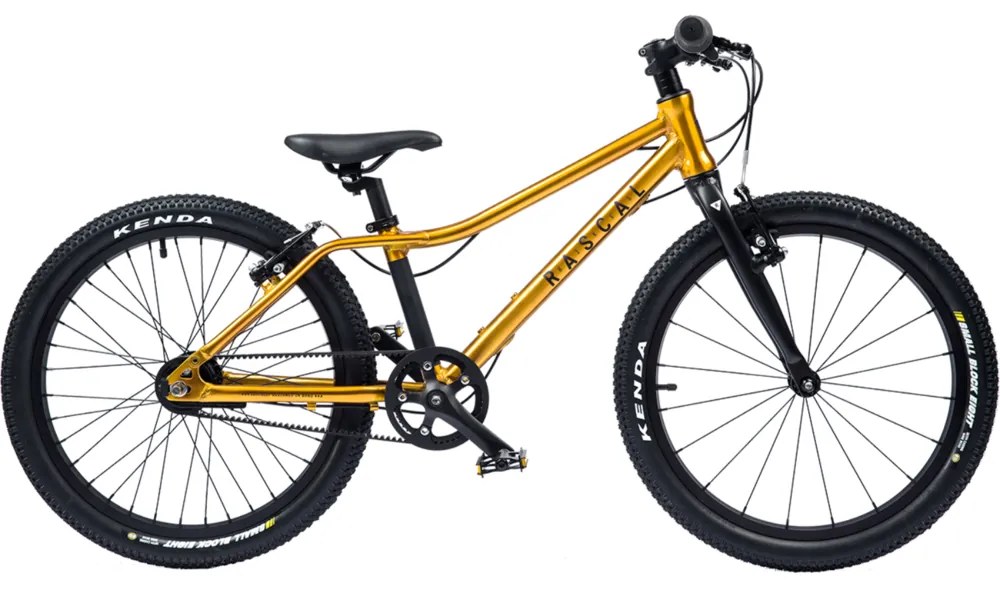 Rascal Bikes 24, Gold