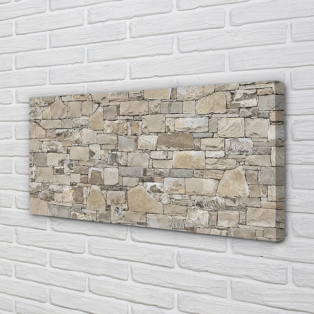 Obrazy na plátně Kamenná zeď wall 100x50 cm