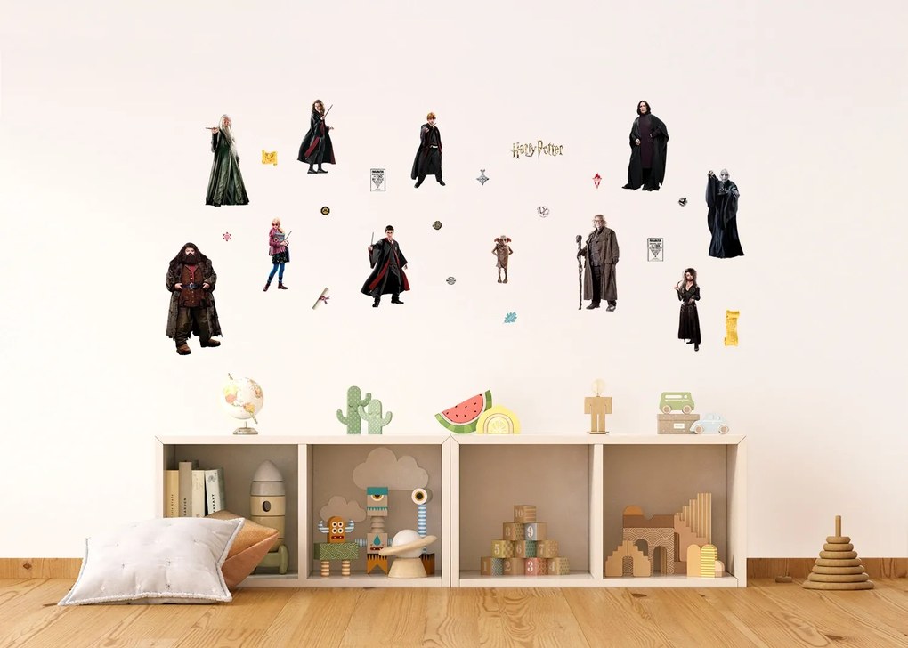 Dětská samolepka na zeď Harry Potter | 65 x 85 cm | DDK2335