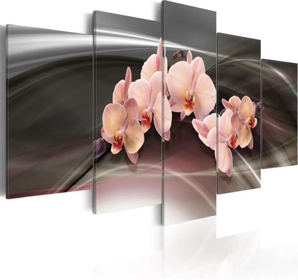 Obraz - Růžové orchideje - 100x50