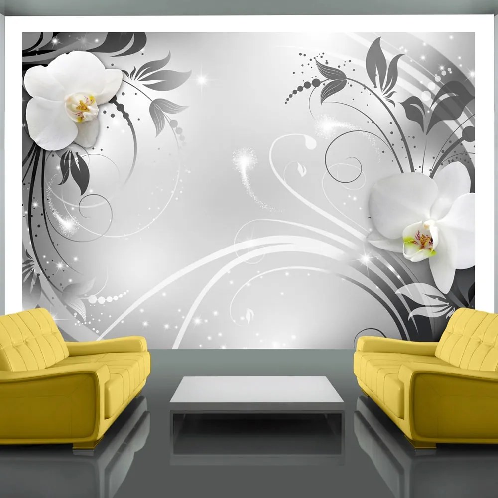 Fototapeta - Orchids on silver