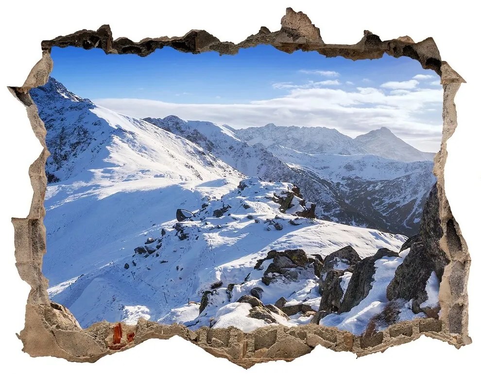 Wallmuralia Nálepka fototapeta 3D Tatry 95x64 cm