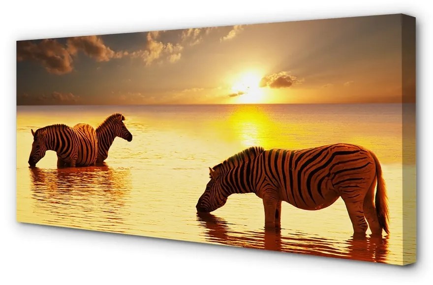 Obrazy na plátně Zebry voda západ slunce 120x60 cm