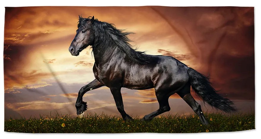 Ručník SABLIO - Friský kůň 50x100 cm