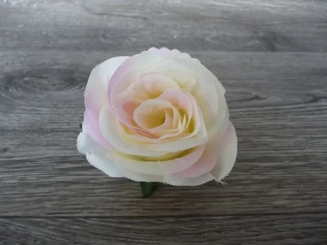 Květ růže - žíhaný